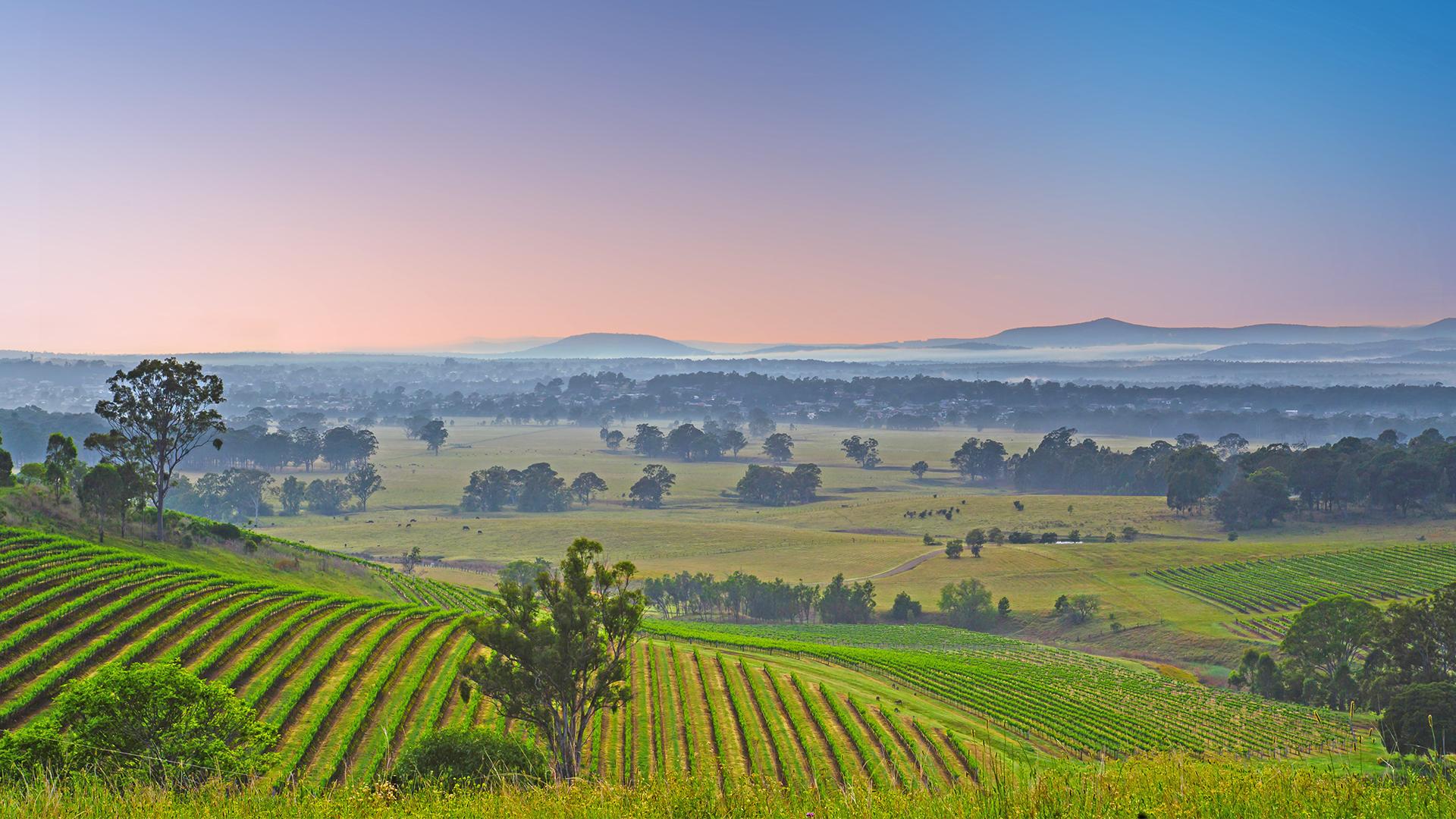 Hunter Region Distillery Trails (New South Wales) - Distillery Track