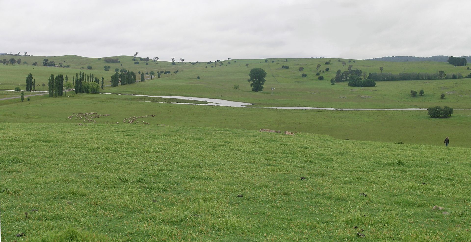 Northern Tablelands Distillery Trails (New South Wales) - Distillery Track